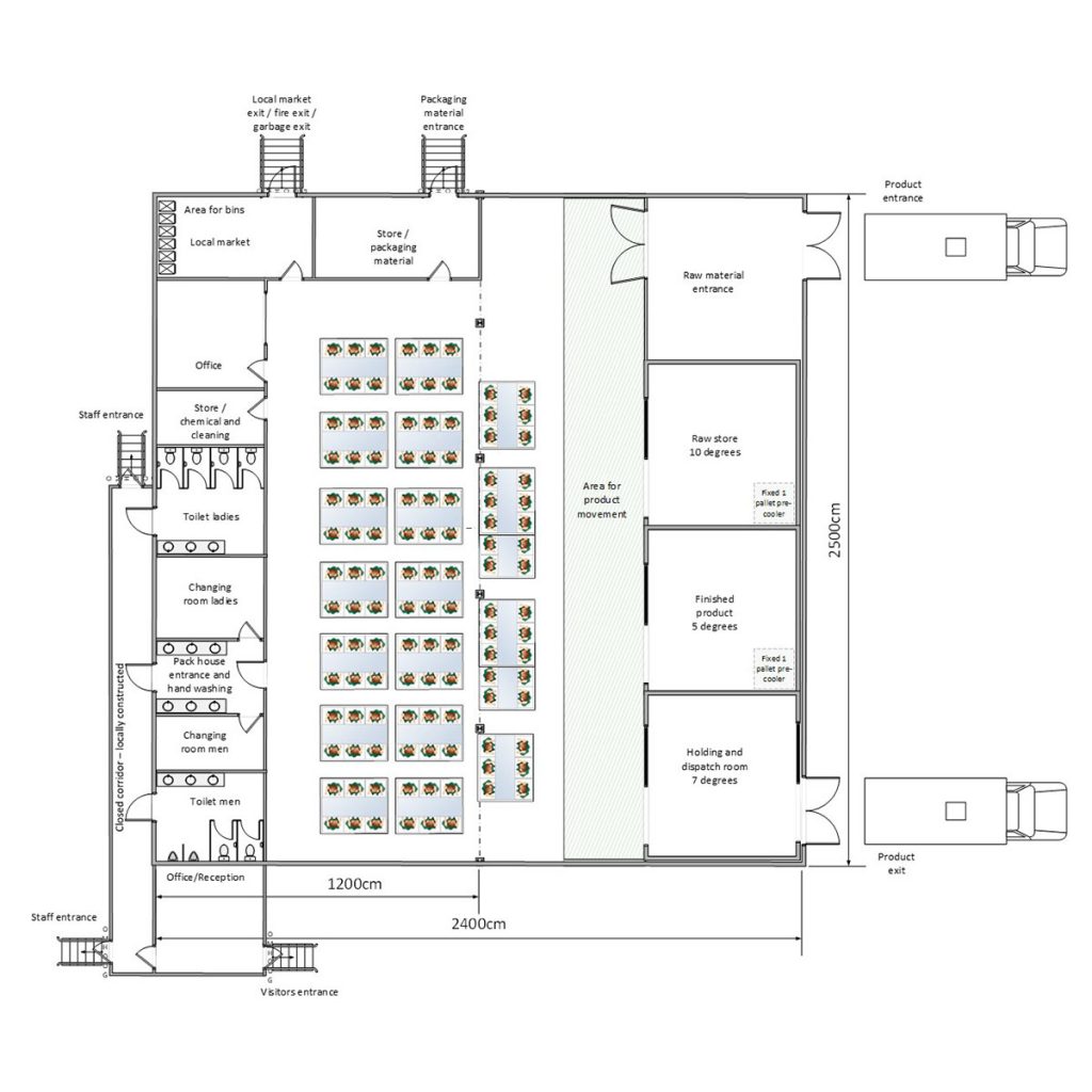 Vegetable grading - 100 day grading line - Go&Grow Farm Solutions