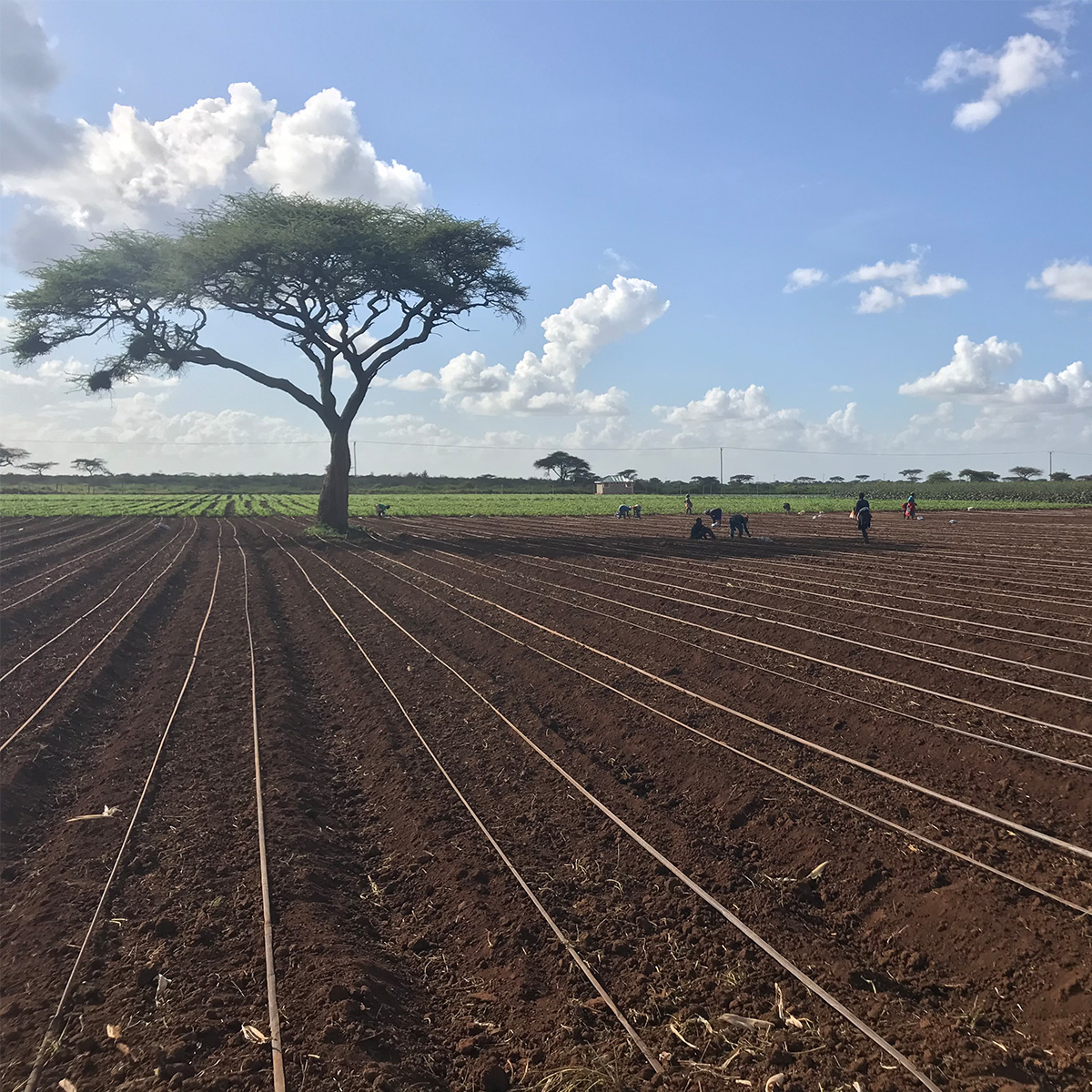 The Company - Go&Grow Farm Solutions