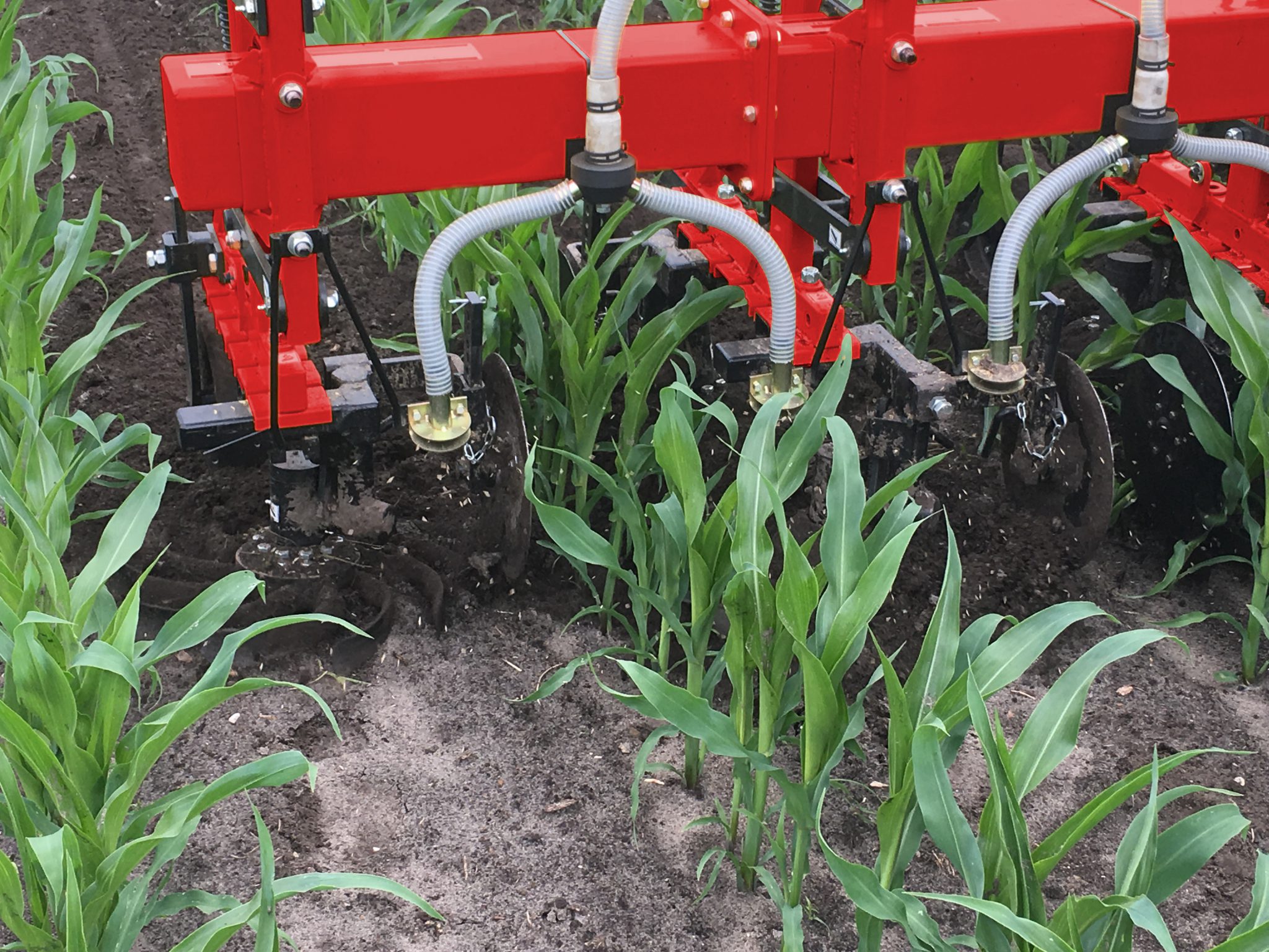 Mechanical weeding - Evers - Go&Grow Farm Solutions